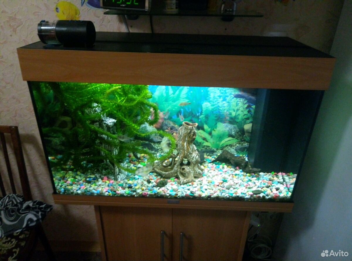 Аквариум juwel 120 литров