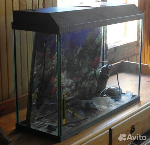 Узкий аквариум 70 литров 70x24x50