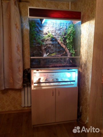 Террариумы с тумбой + рептилии