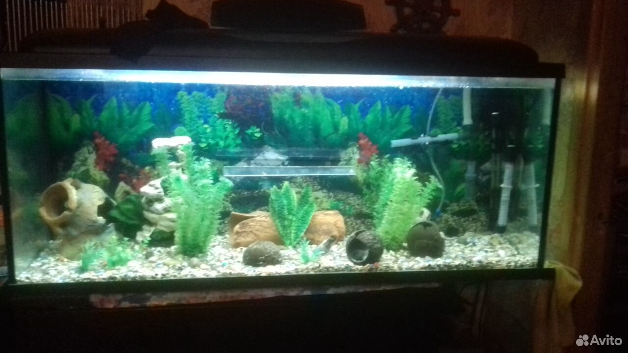 Аквариум фильтры кампресоры