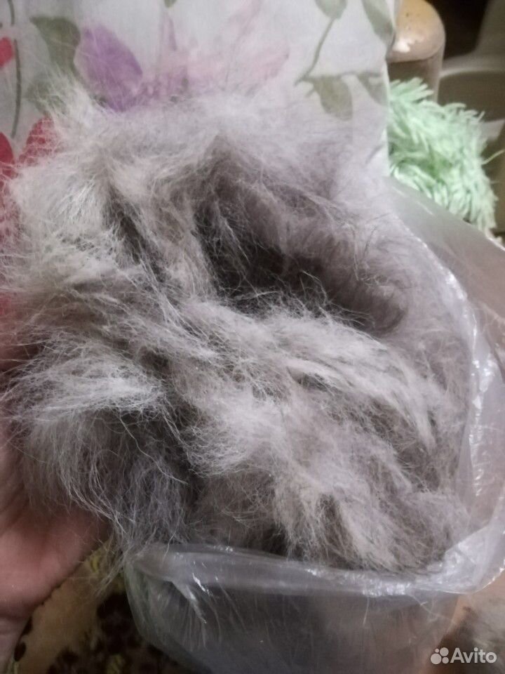 Шерсть сибирской хаски