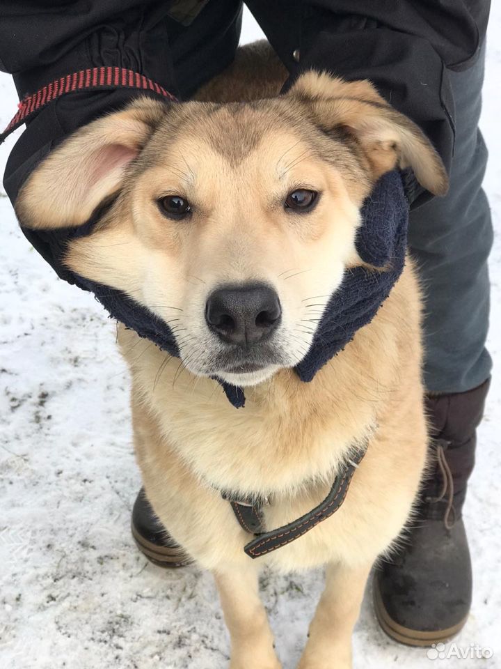 Красавица Барби в самые добрые ручки