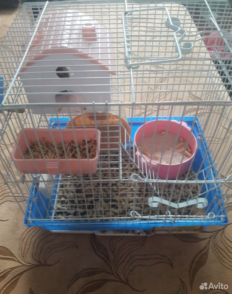 Джунгарик с клеткой