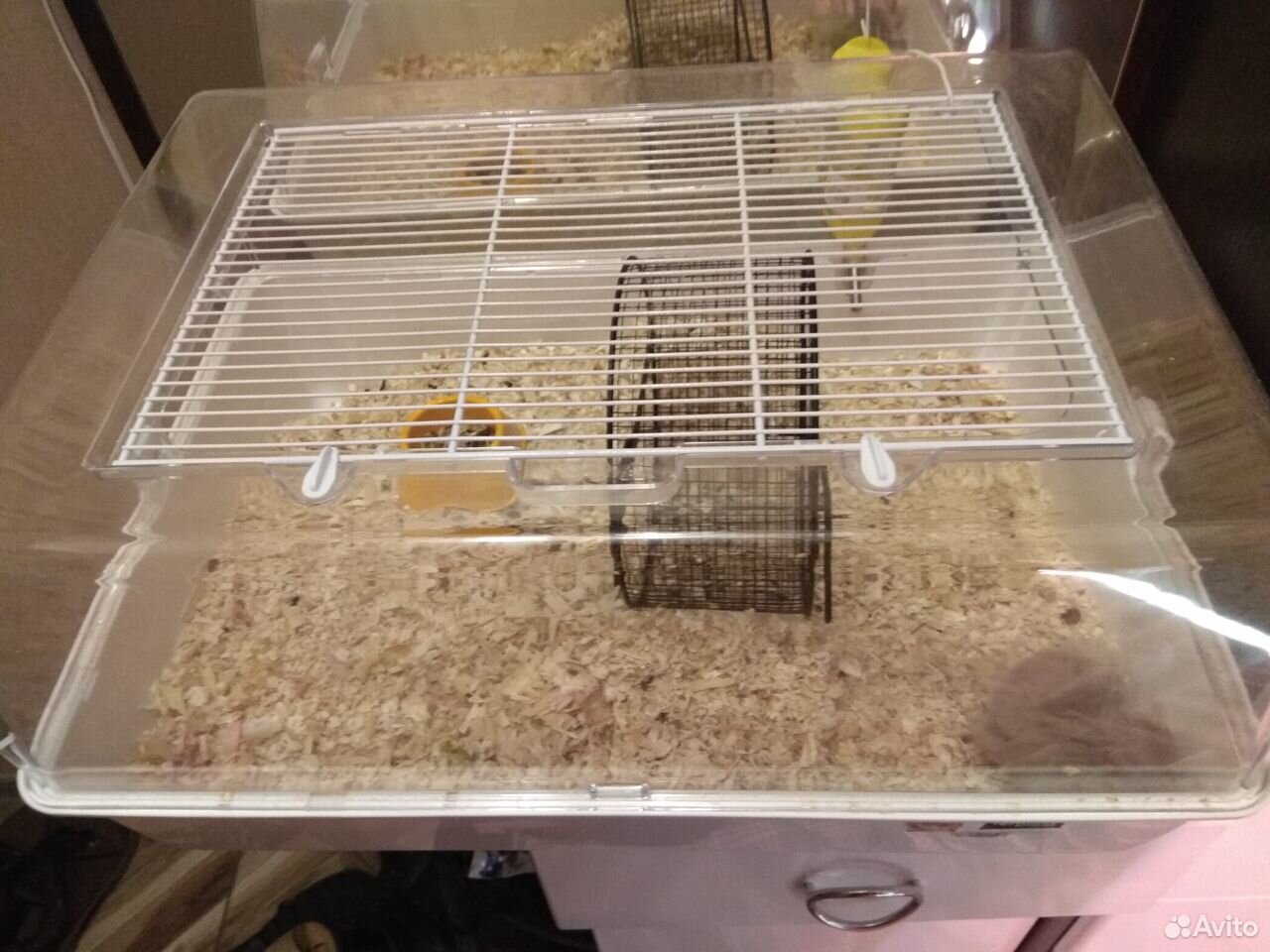 Продается сирийский хомяк с клеткой-дюной