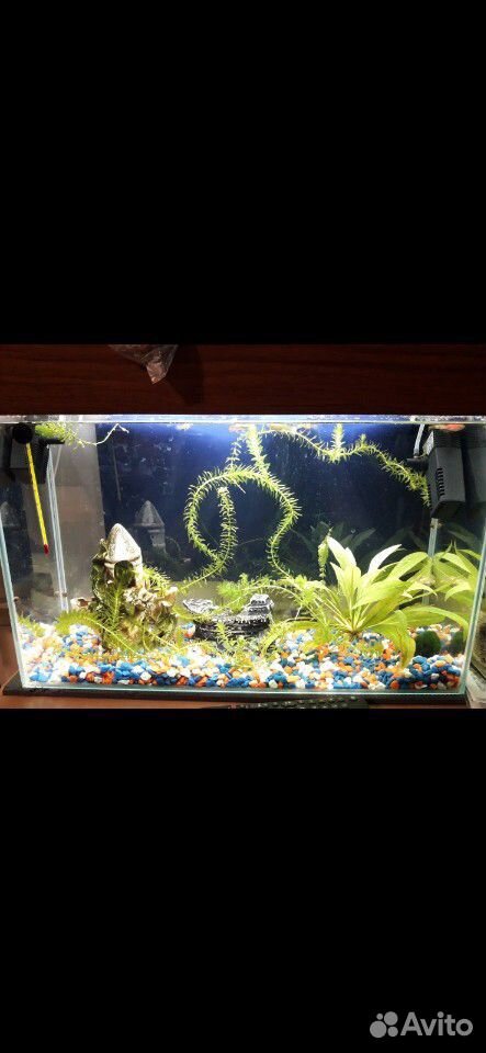 Аквариум на 40 литров