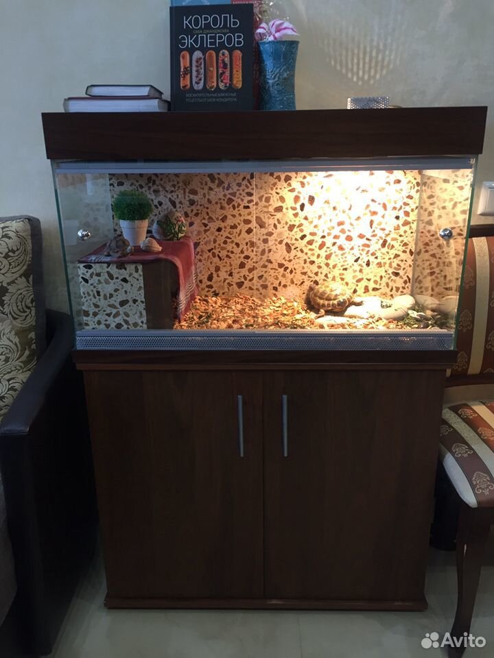 Черепахи степные с террариумом