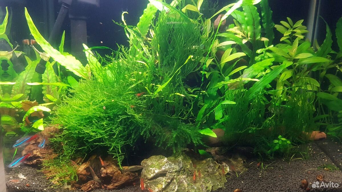 Украшение для аквариума
