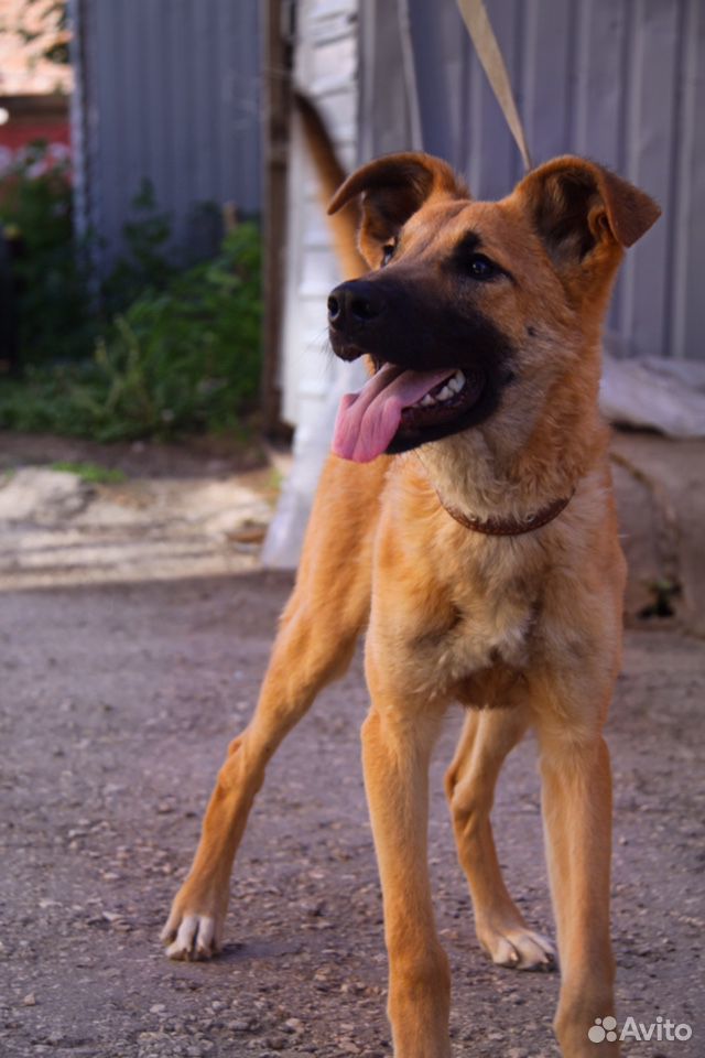 Хьюго ищет семью