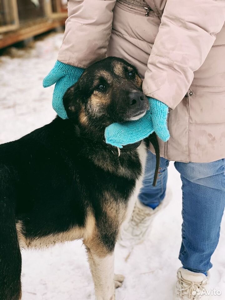 Хочу найти свой дом. Джоник