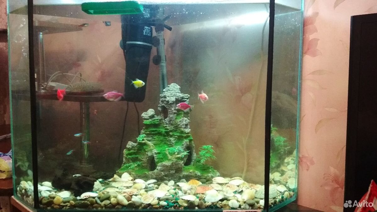 Аквариум угловой 100 литров