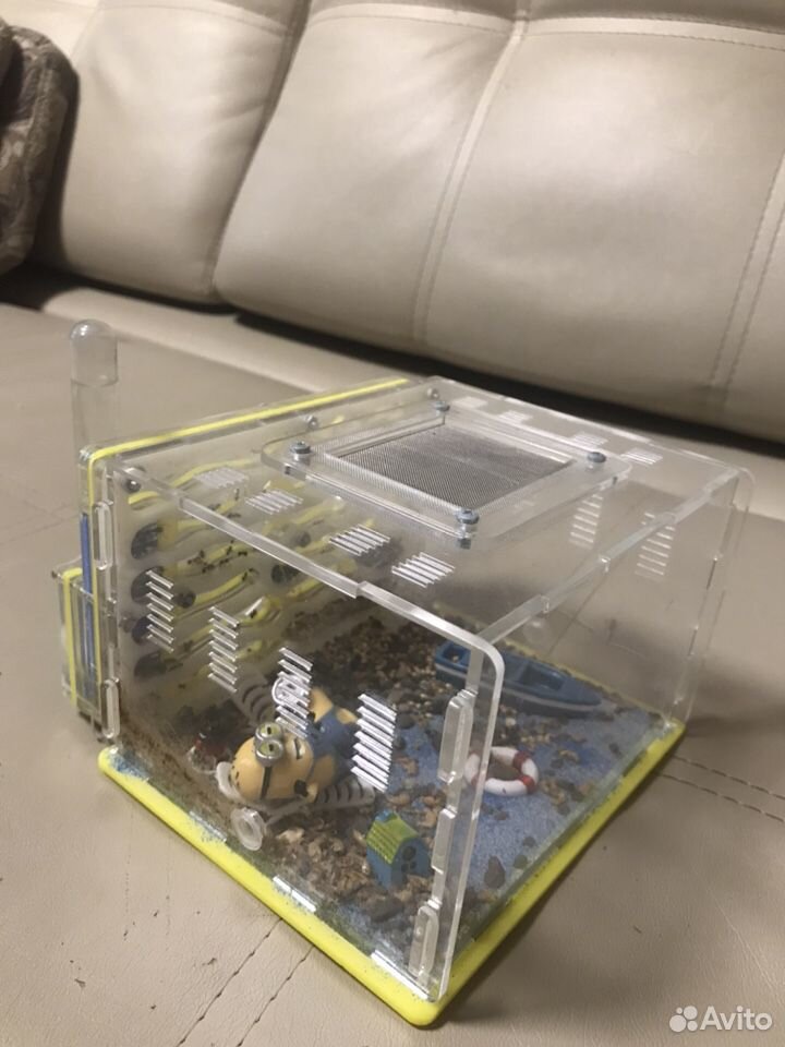 Мирмикарий(Муравьиная ферма куб) с большой колоние