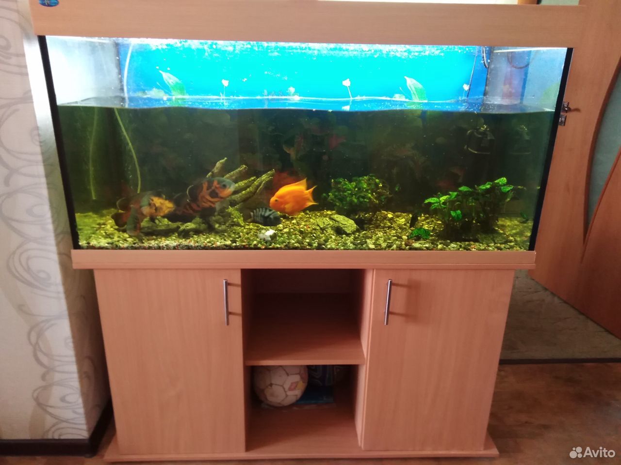 Аквариум 500л