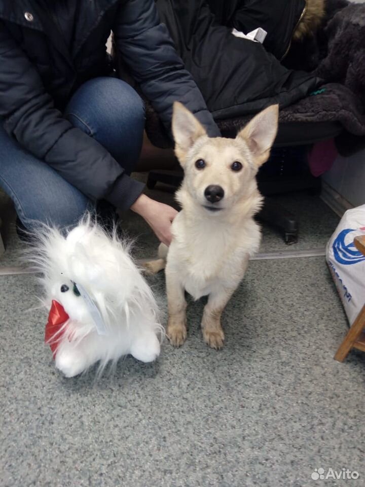 Малышка Дуня