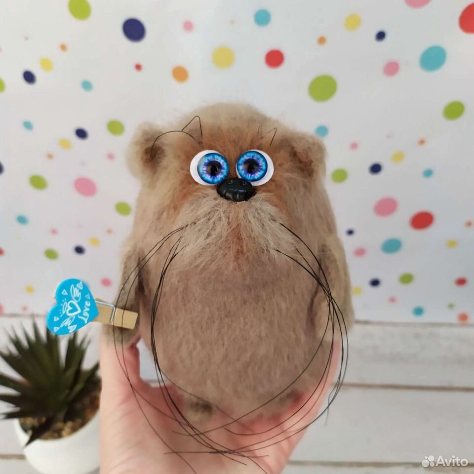 Кот