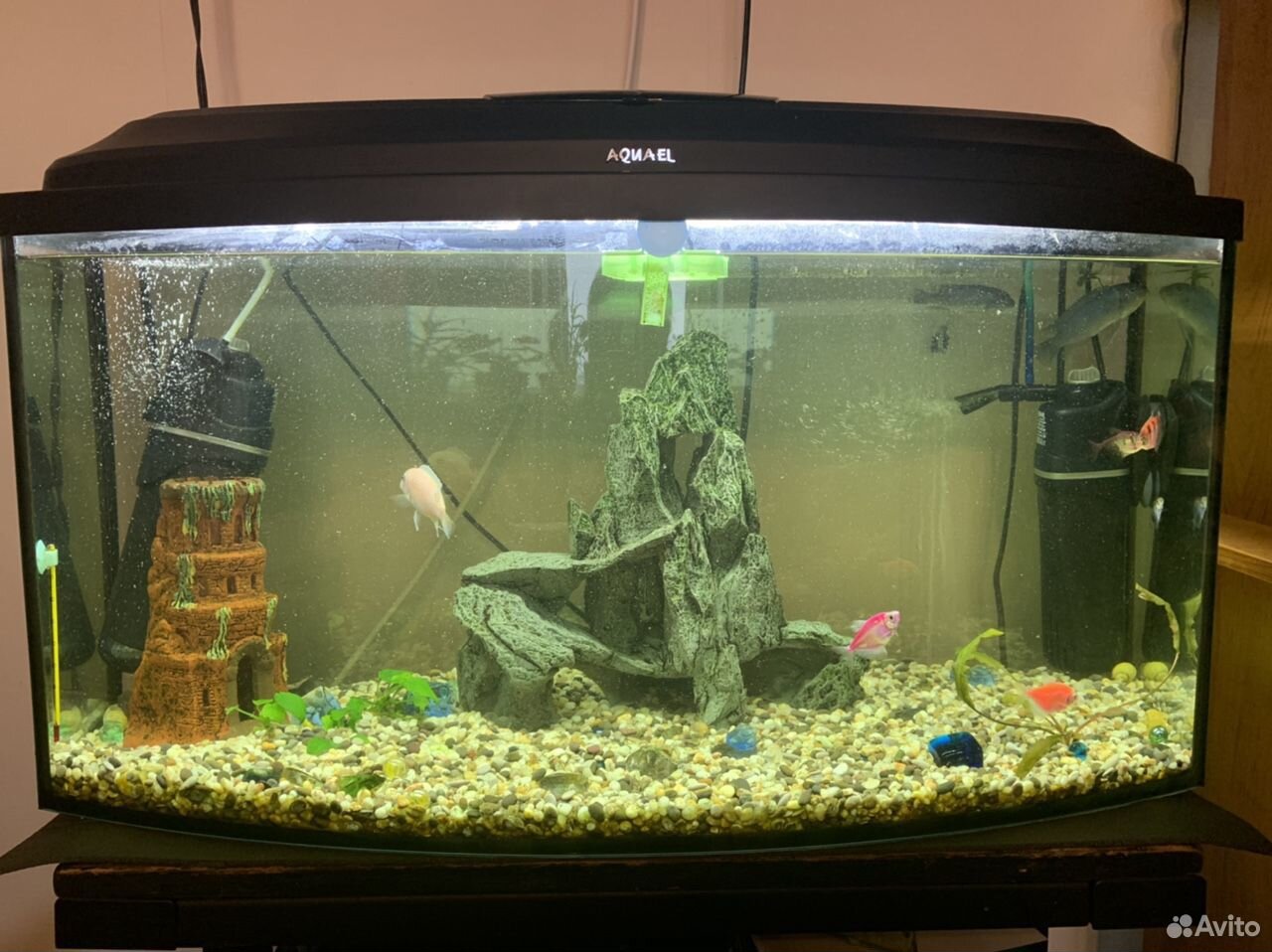 Продам аквариум Aquael Aqua 4 Set Family 80 фигурн