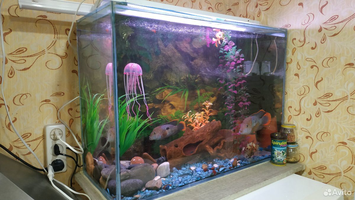 Аквариум с рыбками