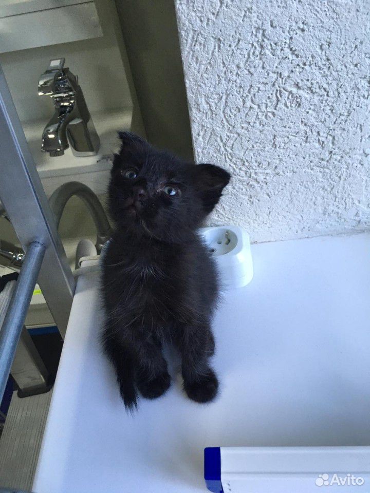 Мальчик ищет дом