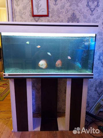 Аквариум 200л