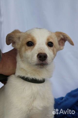 Сабина девочка из приюта. будет не крупной