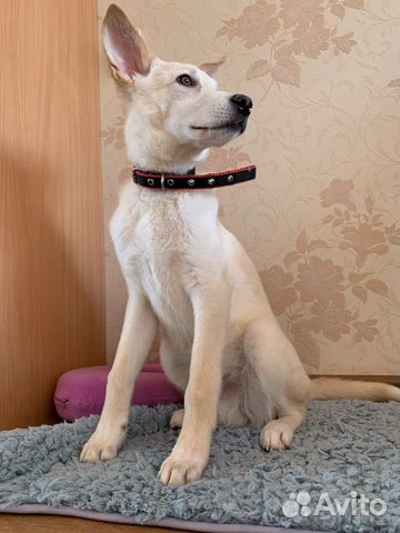 Мне не нужны хоромы я просто хочу жить дома