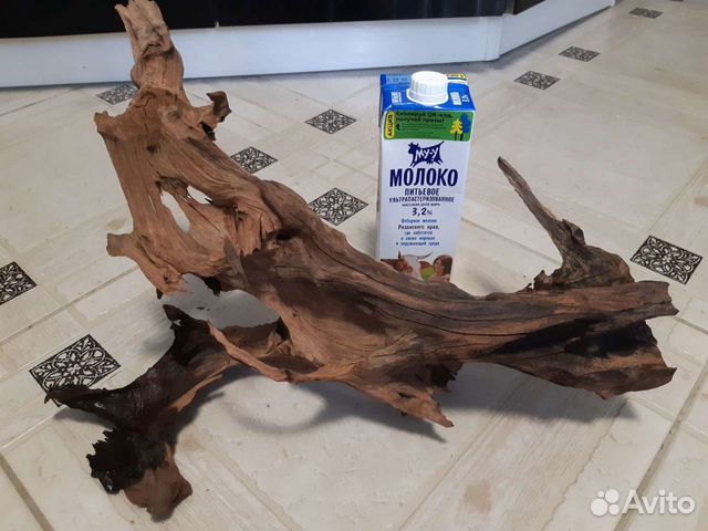Манговая коряга (большая)