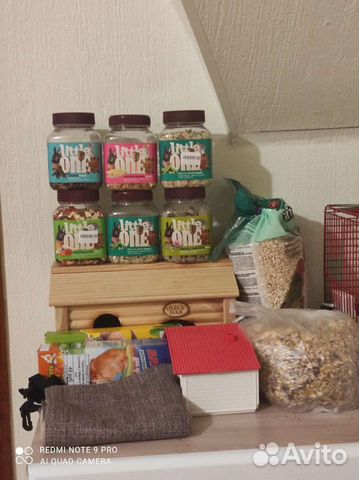 Крысы и клетка для крыс