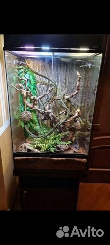 Террариум для рептилий