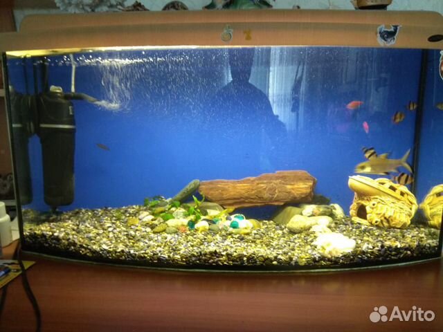 Аквариум 108 литров