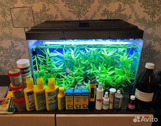 Аквариум 55 литров