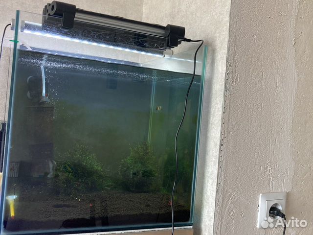Аквариум кубик с креаетками