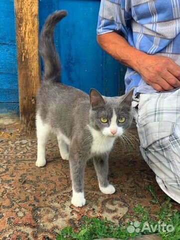 Прекрасная Марфа