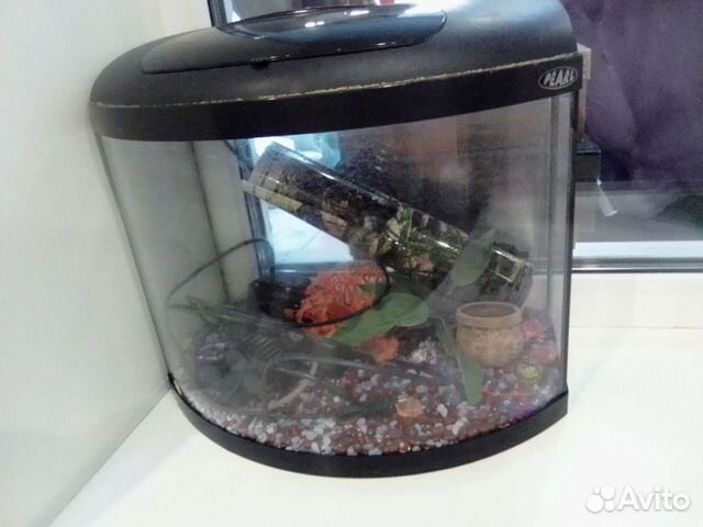 Аквариум 40л