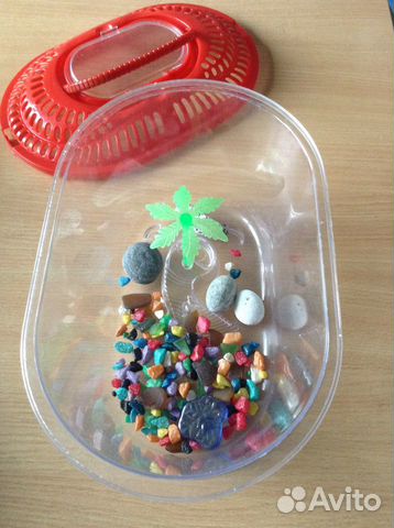 Аквариум- переноска 27см, корм