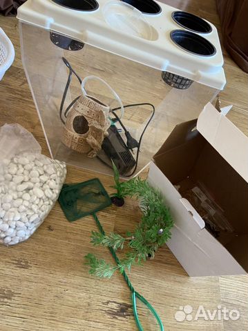 Продам акваферму (аквариум)