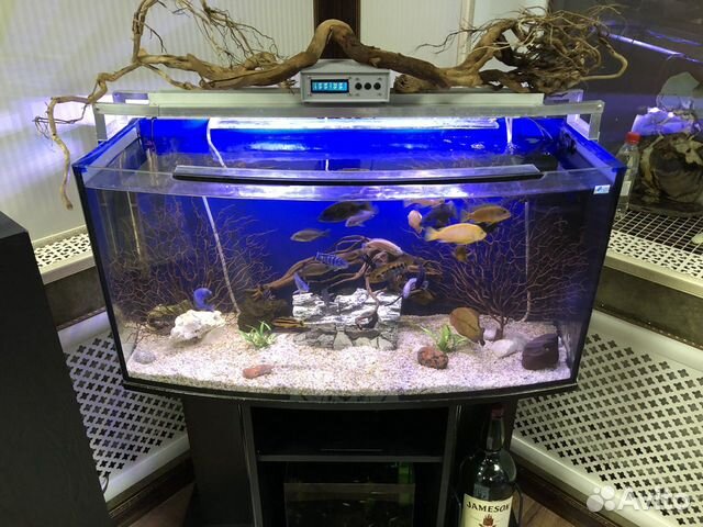 Аквариум 260л со всем комплектом или обмен на море