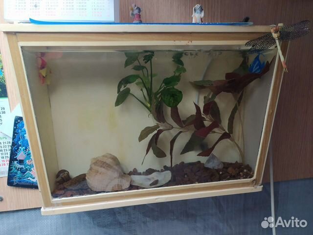Аквариум