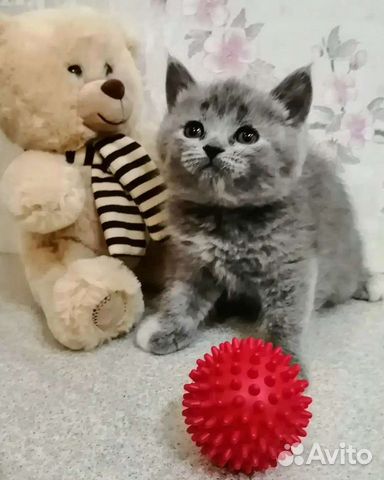 Супер девочка