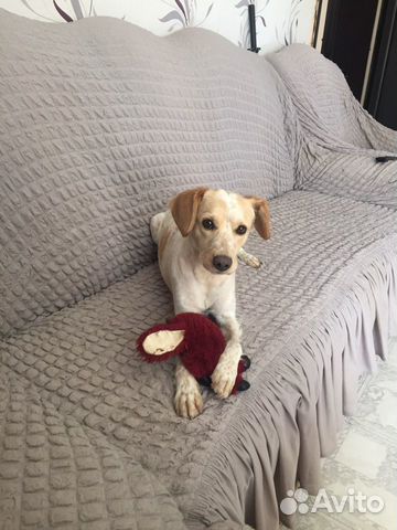 Отдаем малышку в добрые руки