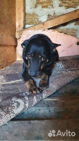 Ищем самое доброе сердце