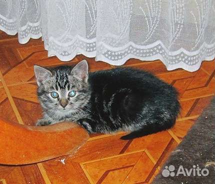 Мальчик,около 2х м
