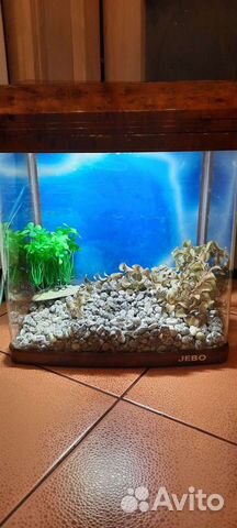 Акаквариум jebo на 20л