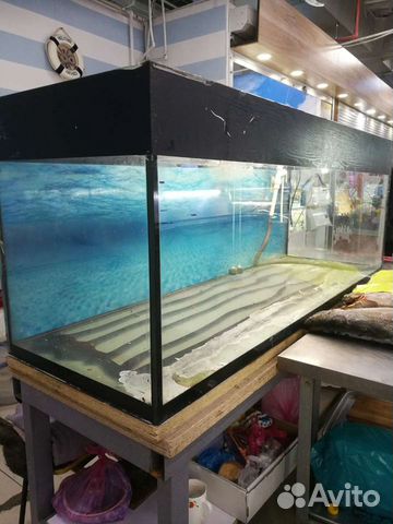 Аквариум 750л