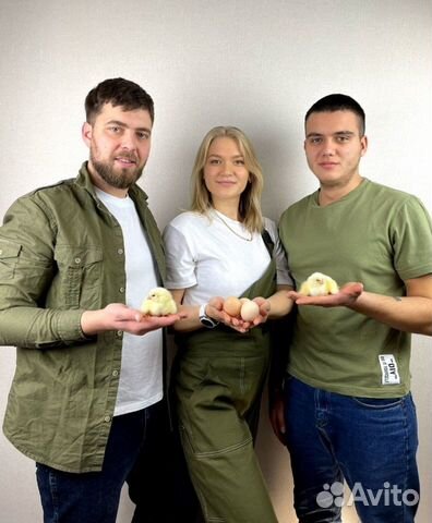 Молодняк.Цыплята. Инкубация яиц.Инкубационное яйцо