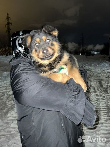 Друзей не покупают