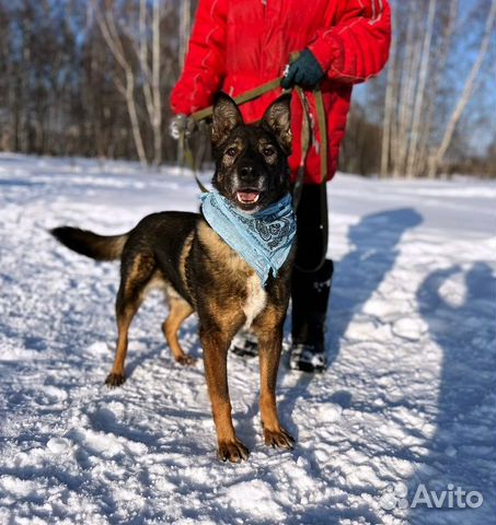 У Джонса не осталось ни одного зуба,сгнила челюсть