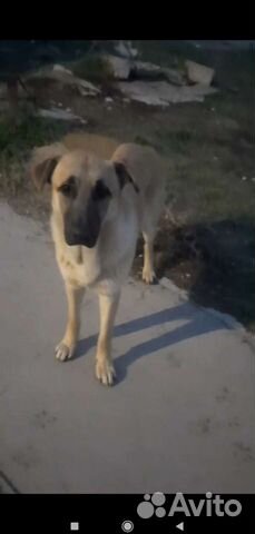 Шикарный молоденький мальчик