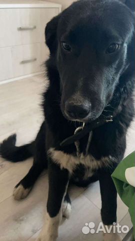 Люк, мальчик