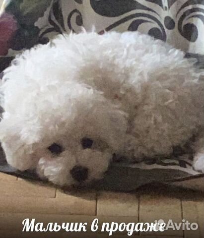 Мальчик красавчик