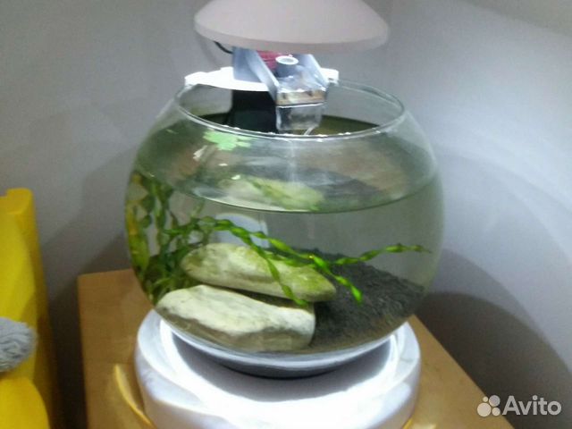 Аквариум шар tetra cascade globe