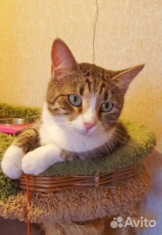 Малышка Стефани